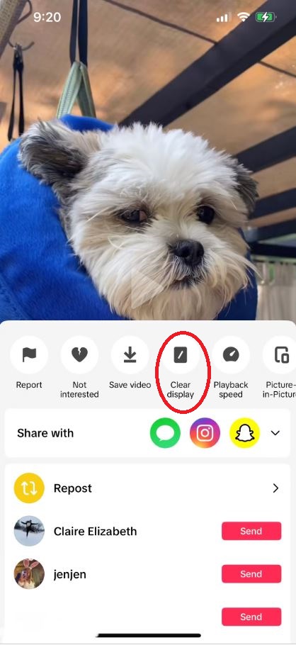 TikTok Clear Mode: Cum sa vizionati videoclipuri fara distragere si ...